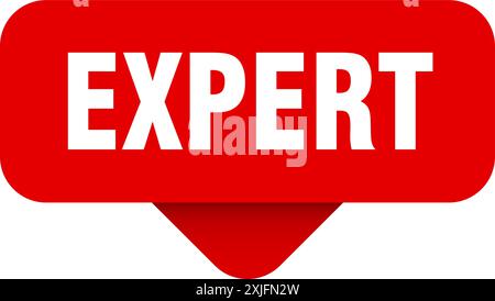 expert sticker. expert sign on transparent background. rectangular ...