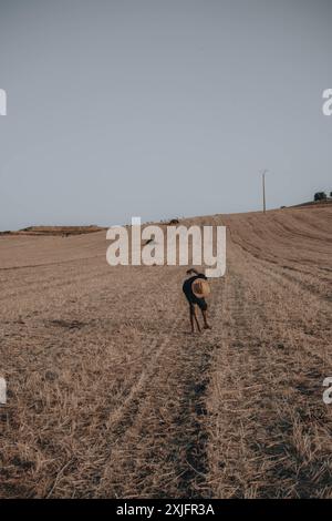 the village of ouazzane in Morocco Stock Photo - Alamy