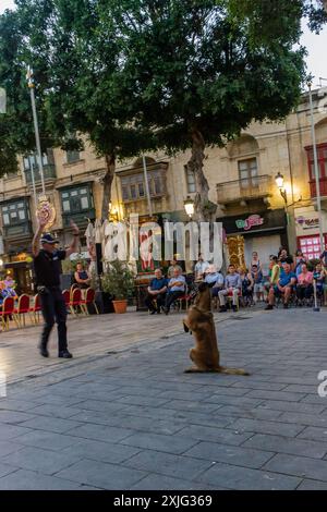 VICTORIA, GOZO - JULY 9th 2024 Malta Police show with police dogs and ...