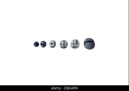 Fishing Sinkers Different Size in Row Isolated on White Background ...