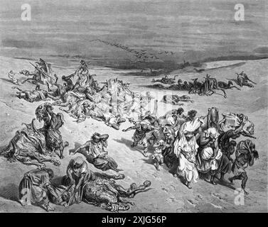 The Murrain of Beasts (or The Fifth Plague: Livestock Disease) Exodus 9 ...