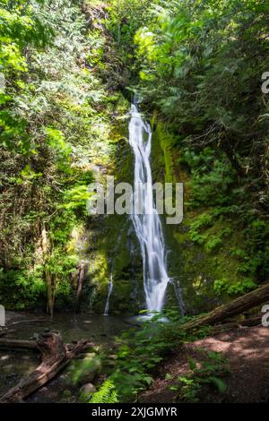 Madison Falls at Olympic National Park Stock Photo - Alamy