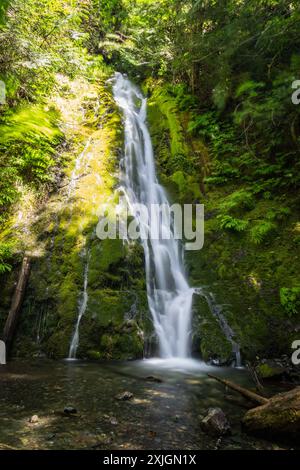 Madison Falls at Olympic National Park Stock Photo - Alamy