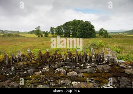 A traditional dray stone wall in a Scottish Landscape Stock Photo - Alamy