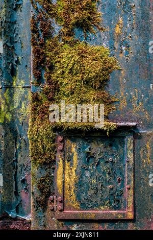 Old historic railway vehicles covered with moss and plants Stock Photo ...