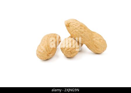 Arranged raw peanuts in different stages of peeling, revealing their ...