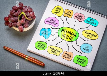 components and factors affecting metabolic health, infographics mind ...