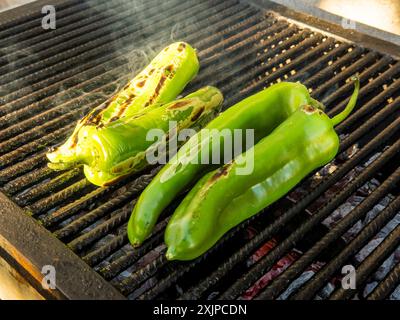 Green chile tatemado or bullfighted on the spit or grill with charcoal ...