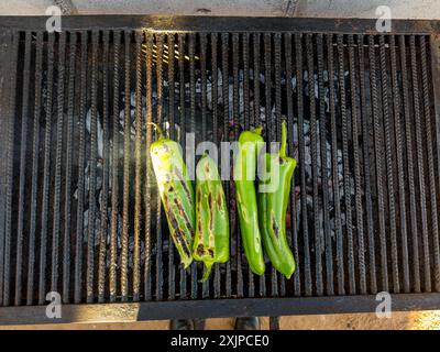 Green chile tatemado or bullfighted on the spit or grill with charcoal ...
