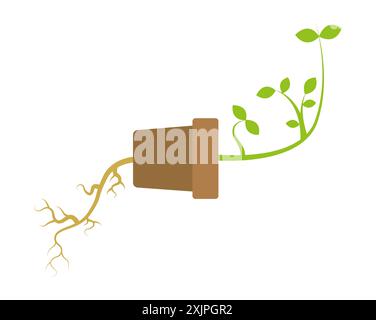 Geotropism mechanism, illustration Stock Photo - Alamy
