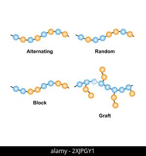 Copolymer types, illustration Stock Photo - Alamy