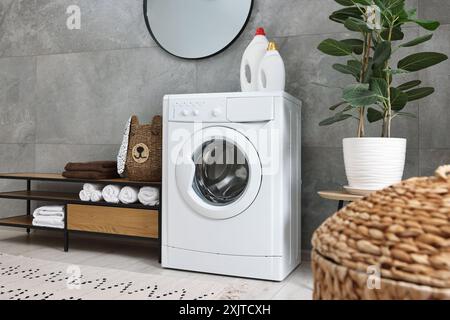 Washing machine, detergents, houseplant, baskets and storage cabinet in ...