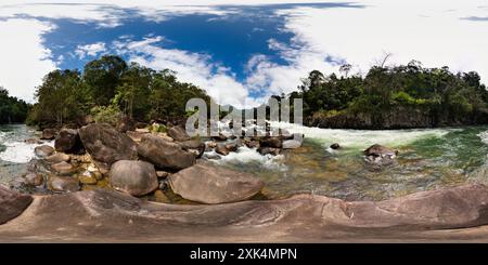 360° view of A serene forest stream surrounded by lush greenery and ...