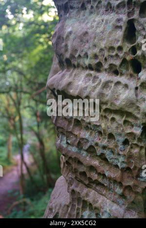 Weathered Sandstone rock, close up Stock Photo - Alamy