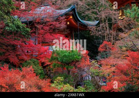 Vibrant red autumn foliage at Bishamondo temple, Kyoto, Japan Stock ...
