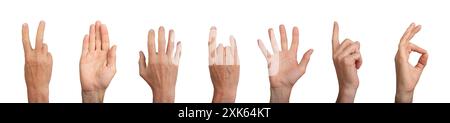Different hand gestures set. Hi sign, victory, horns, intertwined ...