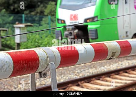 Sicherheit im Bahnbetrieb an Bahnübergängen Ein Zug überquert einen ...