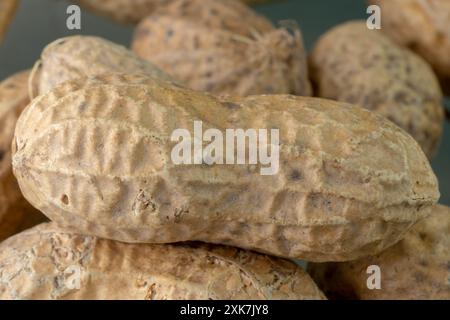 Set of old dried peanuts with brown shells Stock Photo - Alamy