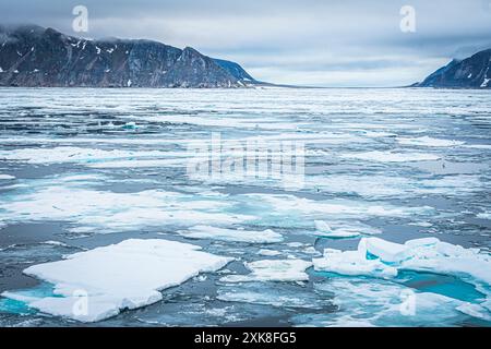 Arctic Icebergs with Ice Flows Stock Photo - Alamy