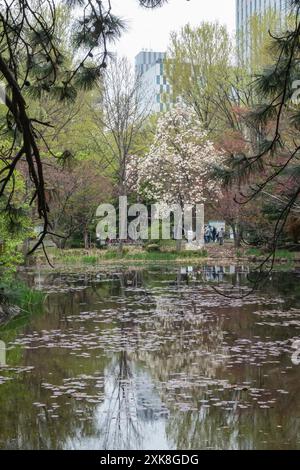 Early spring in the grounds of the former Hokkaido Government Office ...