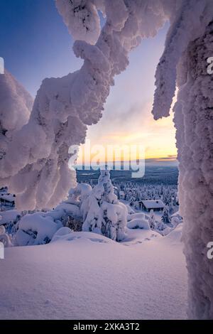 Ice sculptures wrapped in snow at dawn, Pikku Syote, Pudasjarvi, Iso ...