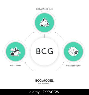 BCG model strategy infographic diagram chart banner template for ...