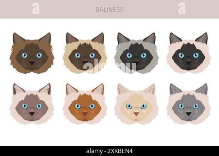 Balinese cat, Long haired Siamese clipart. All coat colors set. All cat ...
