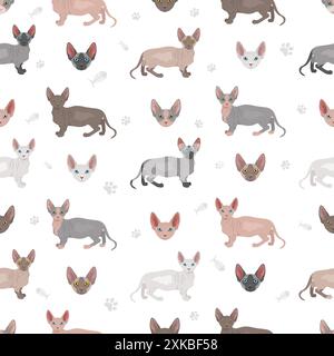 Munchkin Cat seamless pattern. All coat colors set. All cat breeds ...