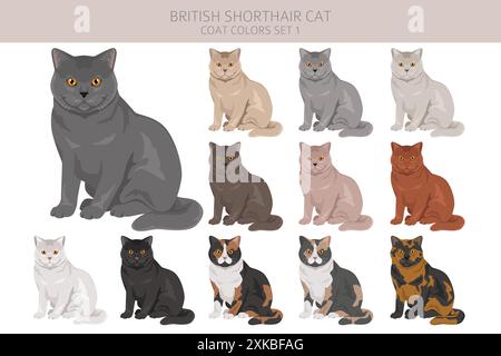 British shorthair Cat clipart. All coat colors set. All cat breeds ...