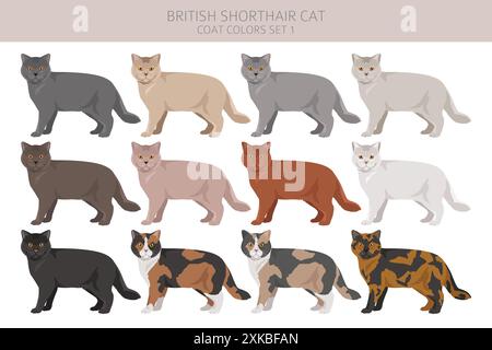 British shorthair Cat clipart. All coat colors set. All cat breeds ...