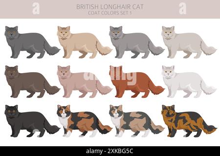 British longhair Cat clipart. All coat colors set. All cat breeds ...