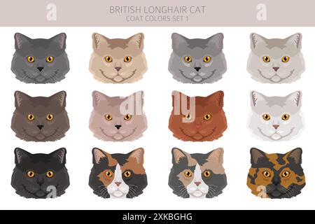 British longhair Cat clipart. All coat colors set. All cat breeds ...