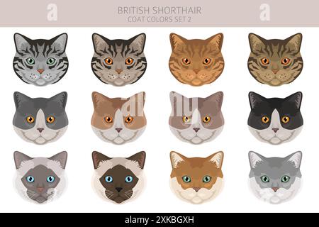 British shorthair Cat clipart. All coat colors set. All cat breeds ...