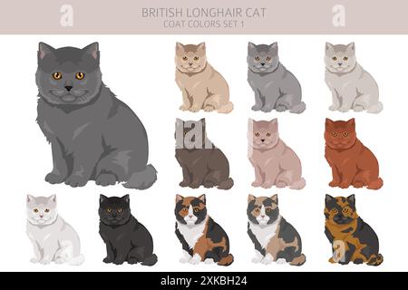 British longhair Cat clipart. All coat colors set. All cat breeds ...