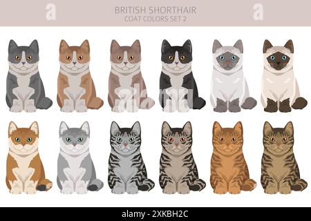 British shorthair Cat clipart. All coat colors set. All cat breeds ...