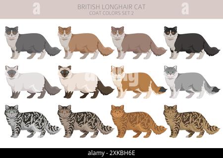 British longhair Cat clipart. All coat colors set. All cat breeds ...