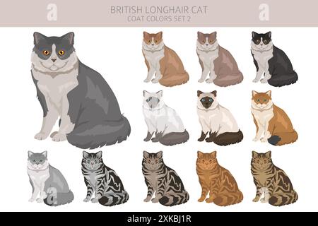 British longhair Cat clipart. All coat colors set. All cat breeds ...