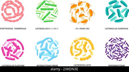 Set of probiotics in a circle. Bacteria and microorganisms. Bifidobacterium, lactobacillus ...