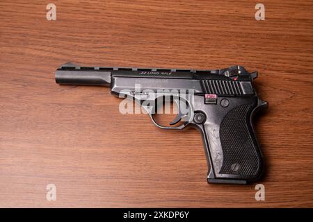 Phoenix Arms Model HP22 .22 Pistol Stock Photo - Alamy