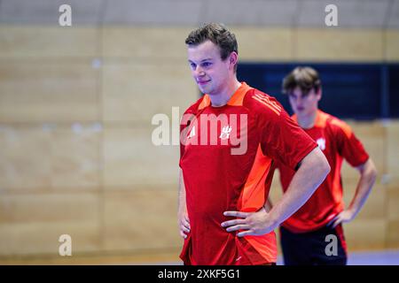 Moritz Sauter (Handball Sport Verein Hamburg, #33) GER, Handball Sport ...