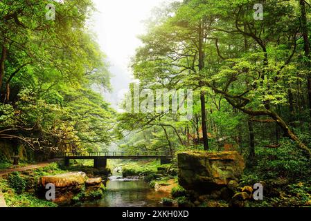 Bridge over the river among green trees on a summer cloudy day. River ...