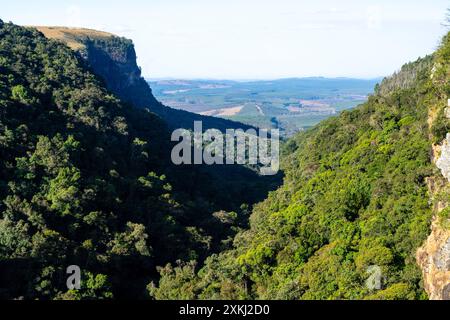 View of Graskop Gorge along South Africa's Panorama Route in the ...