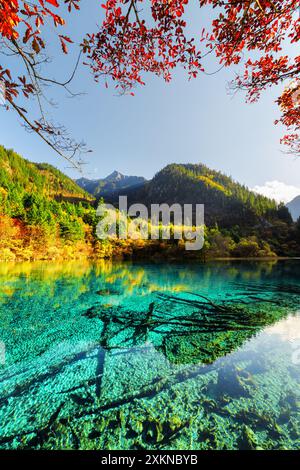 The Five Flower Lake (Multicolored Lake) among autumn woods Stock Photo ...