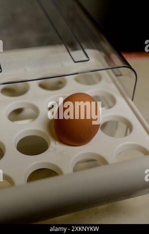 Bird Flu causes Egg Shortage in Australia Stock Photo - Alamy