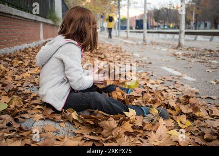 Fallen autumn leaves in a meadow, Baden-Wuerttemberg, Germany Stock ...