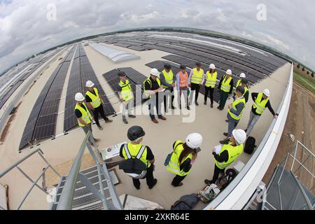24 July 2025, Saxony-Anhalt, Magdeburg: Tiger mother "Stormi" helps one ...