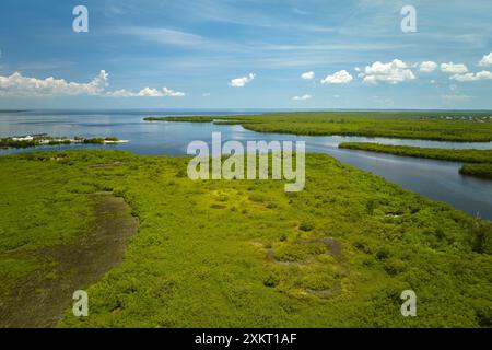 Overhead view of Everglades swamp with green vegetation between water ...