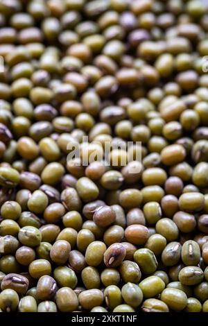 closeup of many green mung bean seeds Stock Photo - Alamy
