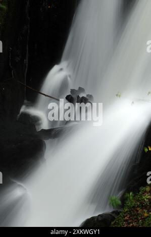 Stock Ghyll Force, Ambleside Stock Photo - Alamy
