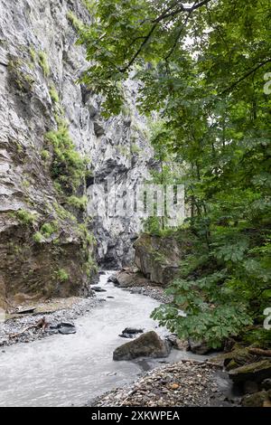 Landscape with the Tamina river in the Tamina canyon in Switzerland ...